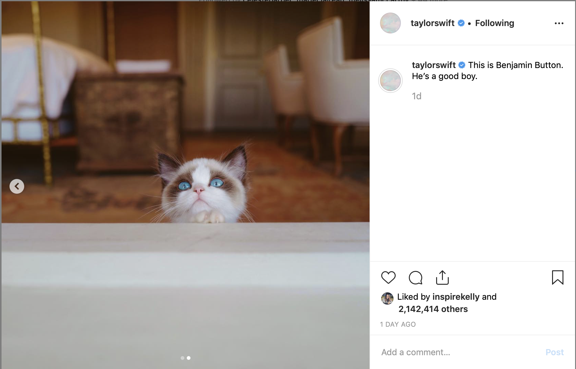 Why Taylor Swift and Benjamin Button Are Inspiration for Us All ...